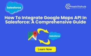 How to Integrate Google Maps API in Salesforce