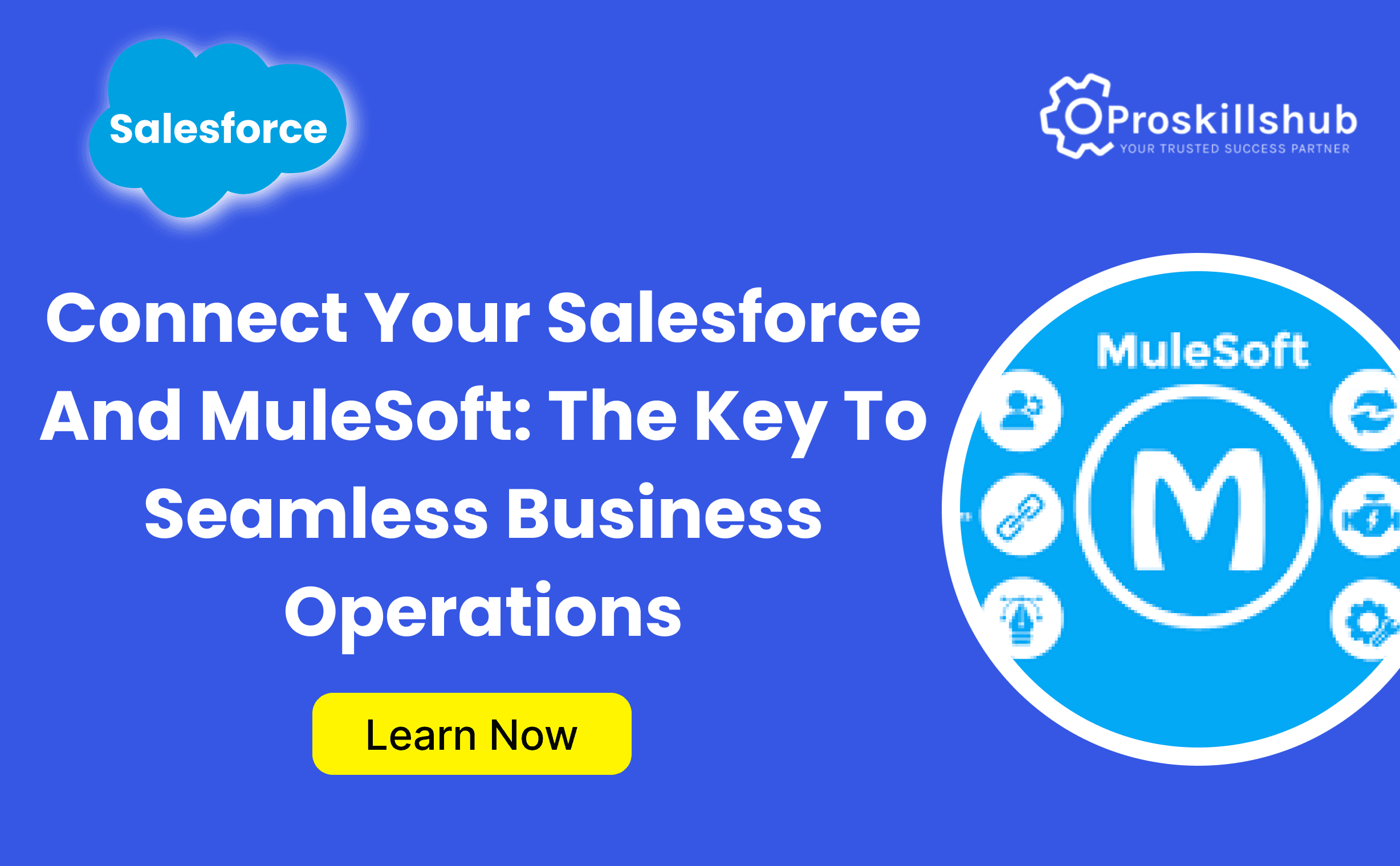 Connect Your Salesforce And Mulesoft The Key To Seamless Business